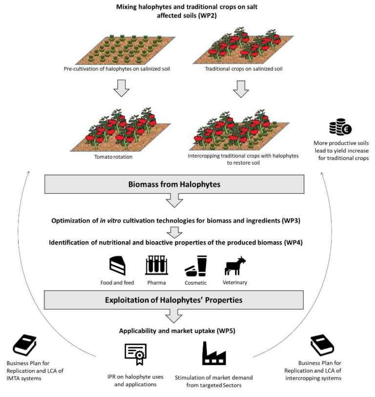 HaloFarMs – Dipartimento di Scienze Agrarie, Alimentari e Agro-ambientali
